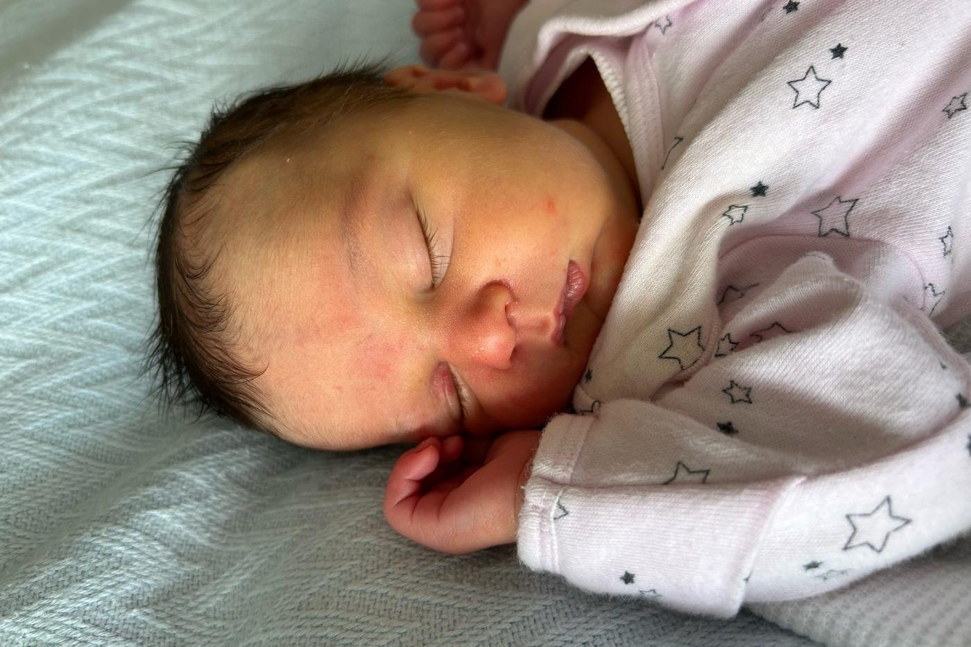 HATCH: Chloe Grace Semmler