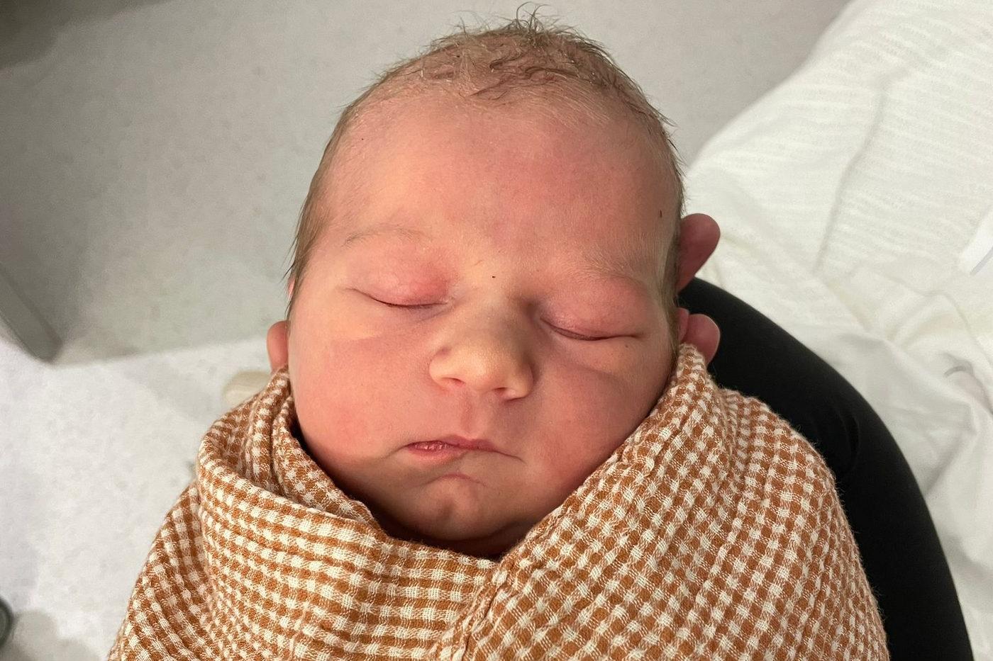 Lincoln Ash Turner