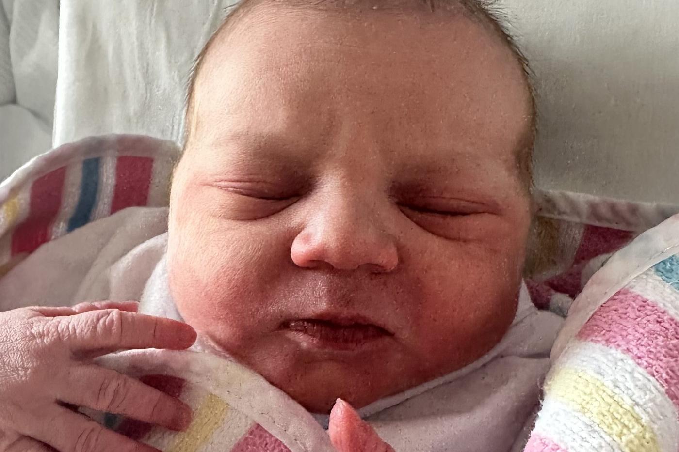 Hatch: Baby Castleden