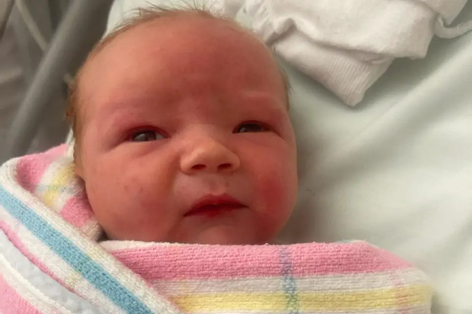 HATCH: Logan James Jackson