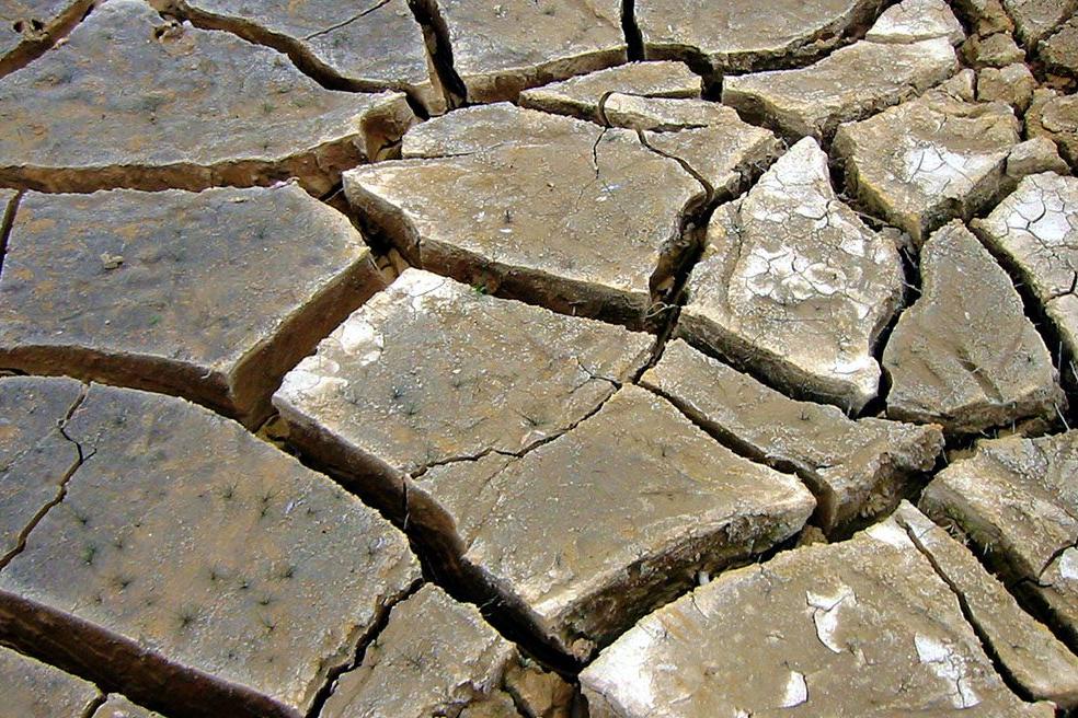 Preparing for next drought, councils team up for new Orana Region Plan