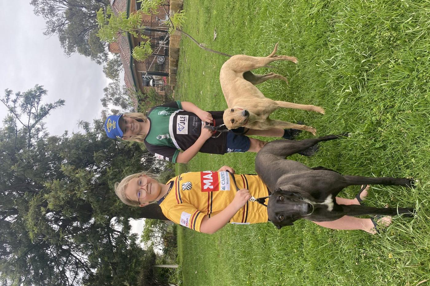 Giving greyhounds a new home
