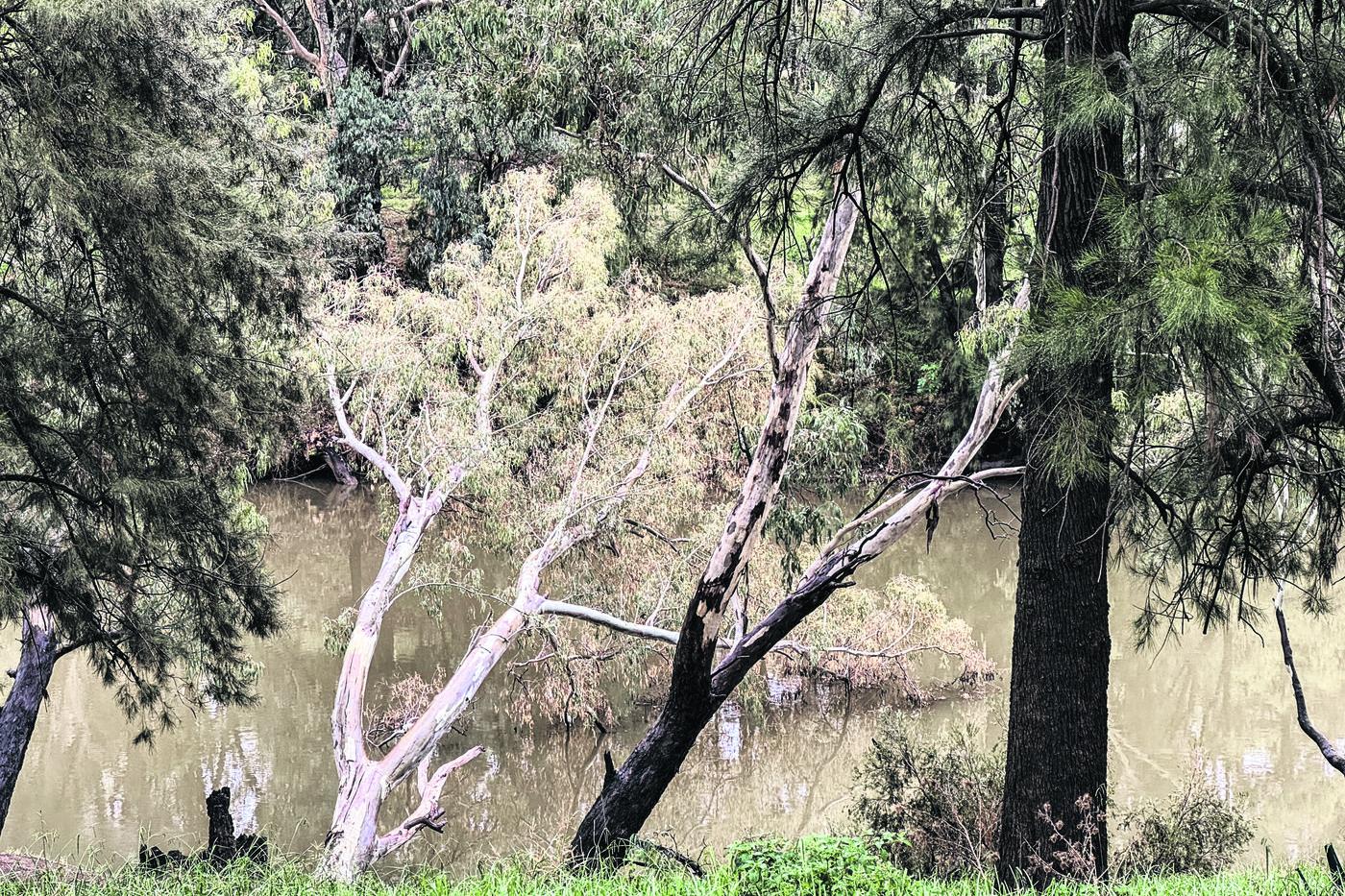 July in Dubbo... in photos
