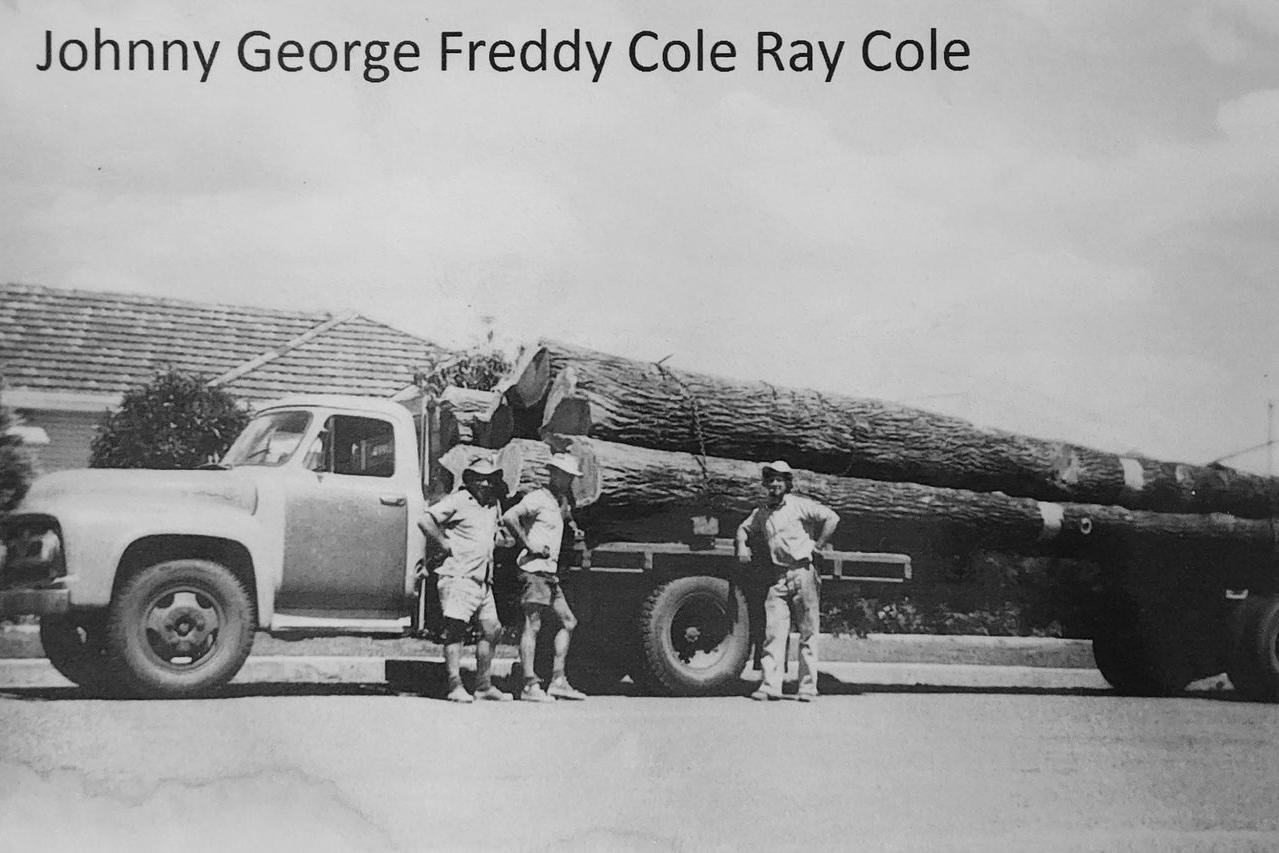 Time Warp: Giant hardwoods that helped build Dubbo