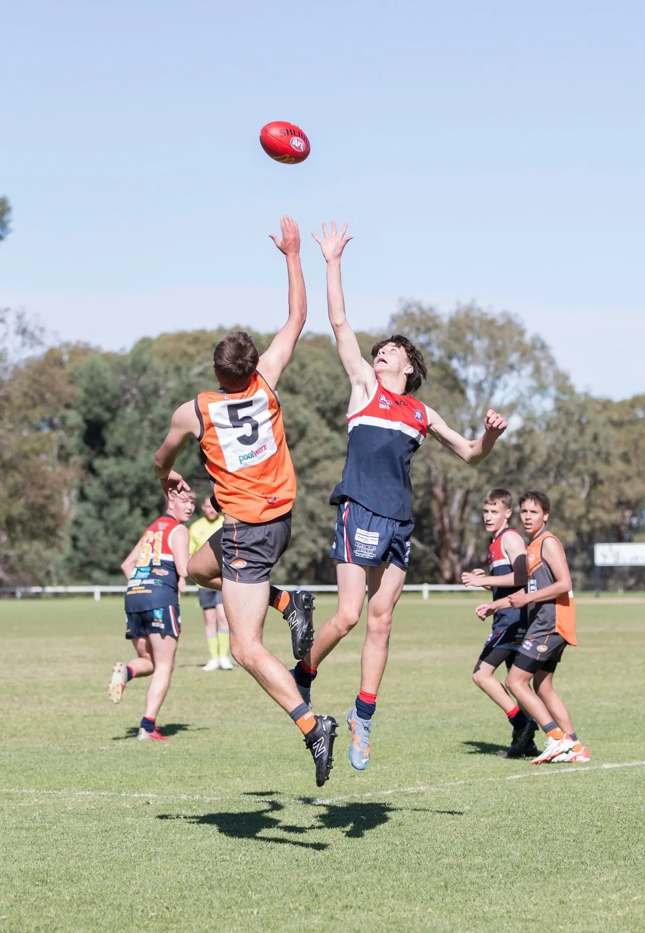 Dubbo Demons young guns go around again