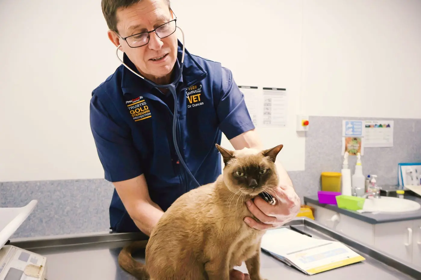 31 years providing animal health care