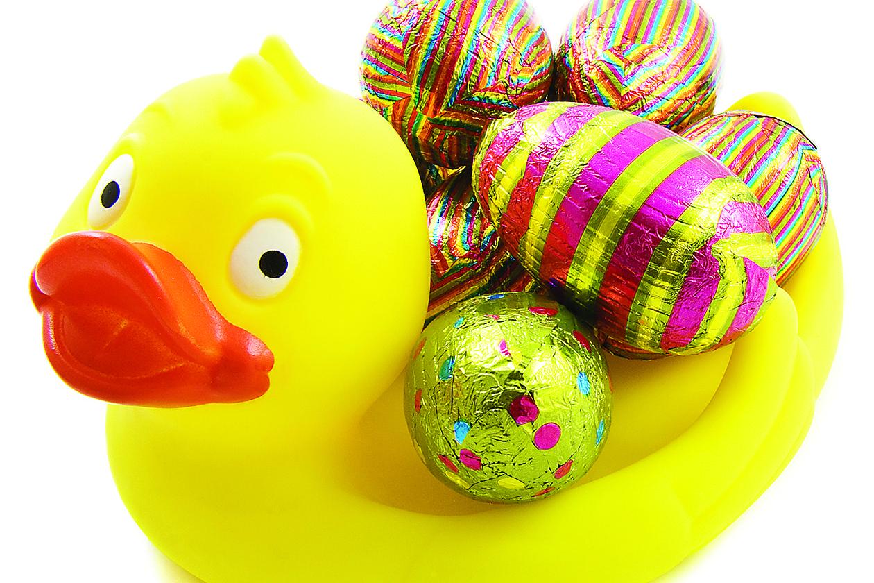 Chocolate Ducks weighed down by their Easter Eggs