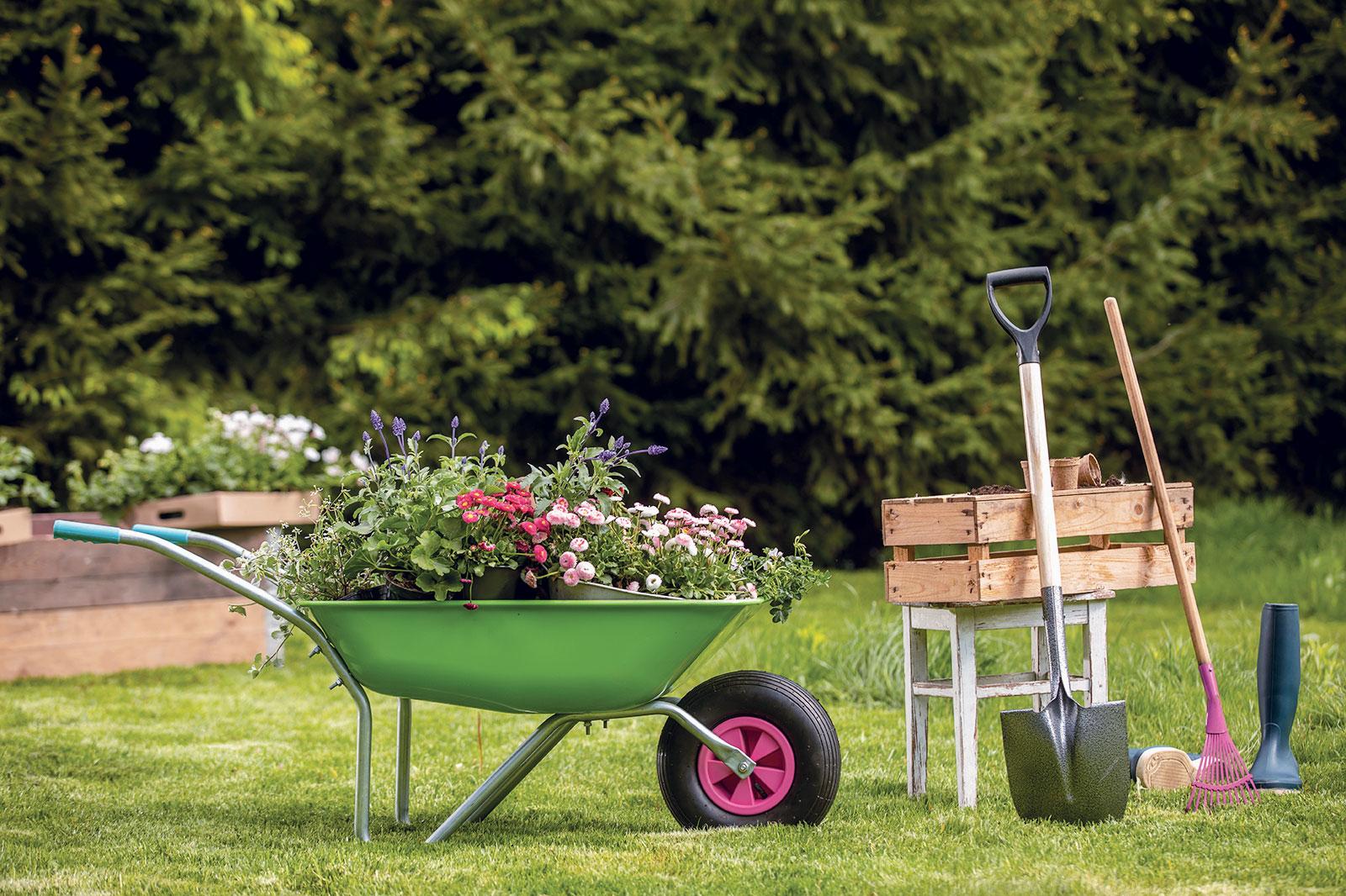 Quick tips on choosing a wheelbarrow
