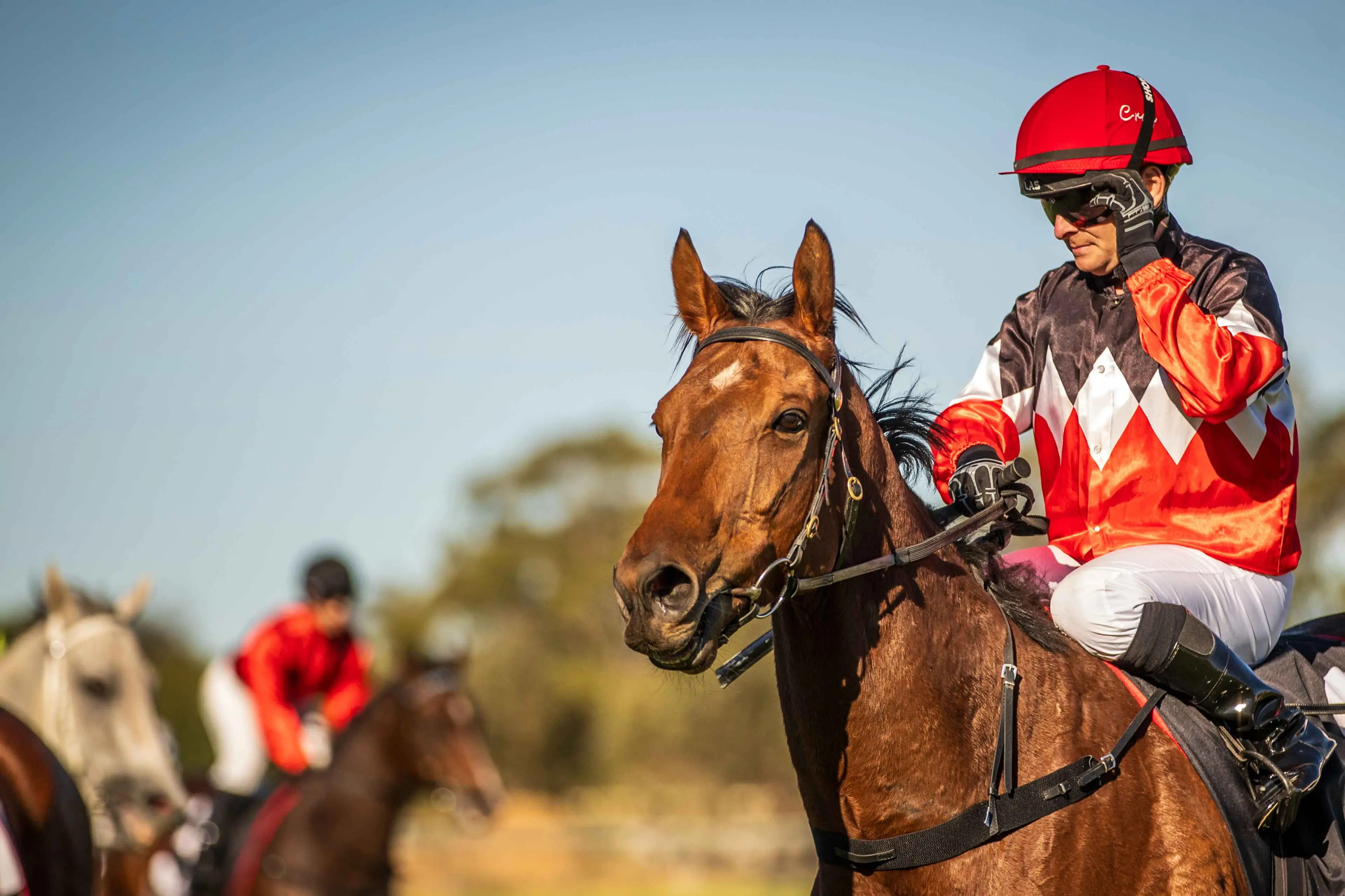 Helicopter helps dry the track ahead of Saturday's Walgett race meeting